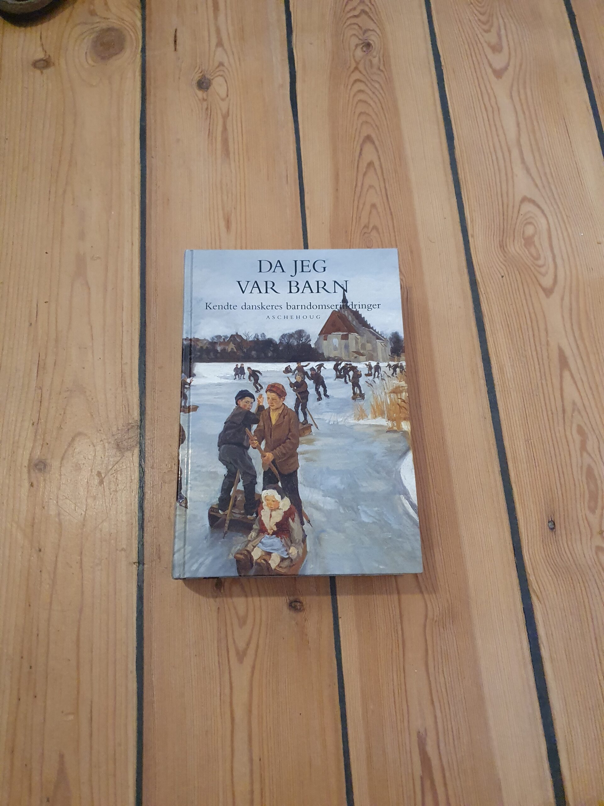 Da jeg var barn – Villumsen loppefund